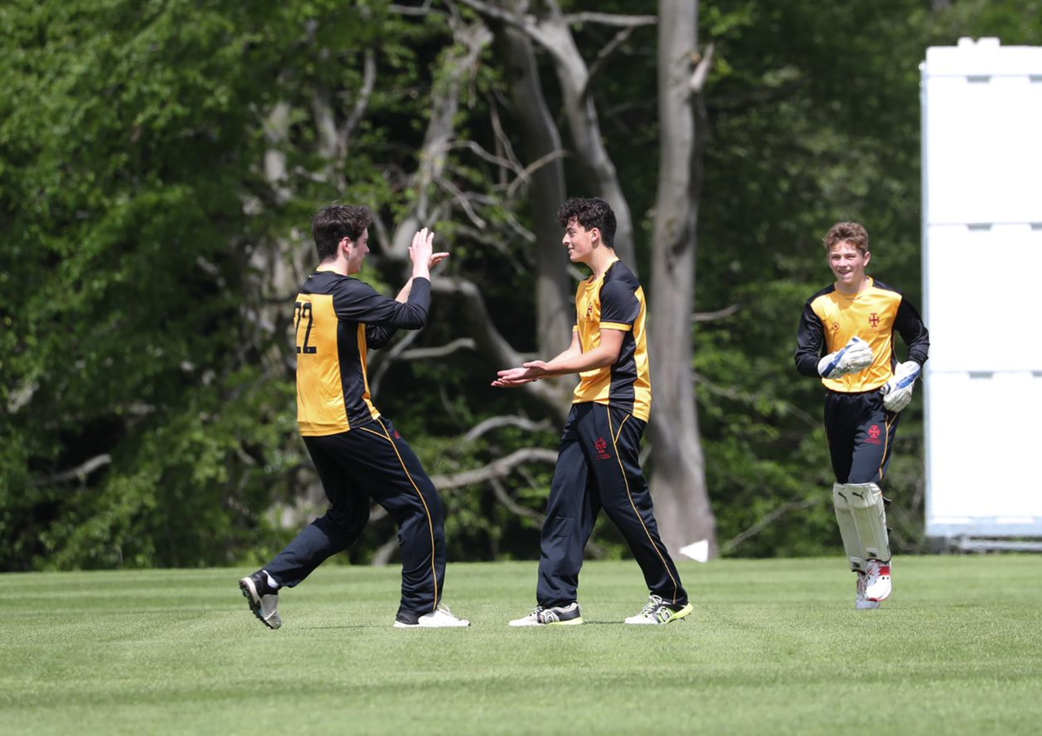 Cricket - Downside School